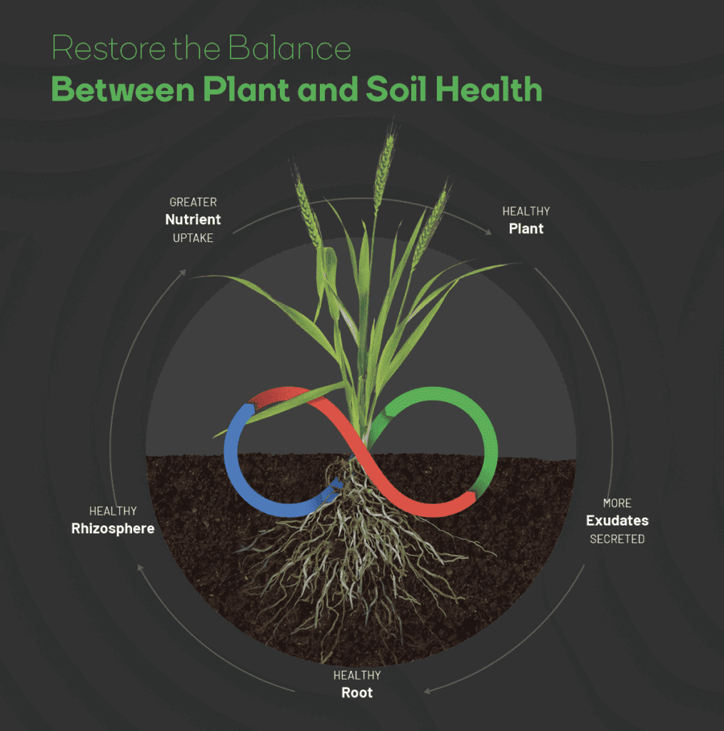 Finding the Potential in Each Plant: An ATP Nutrition Tech Direct Guide ...