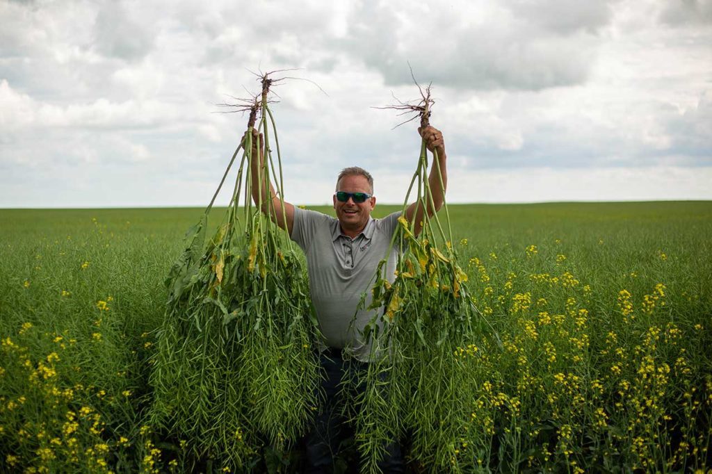 A Spring in your Step: A Top Krop Tech Direct Guide - AGvisorPRO