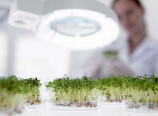 Connecting you with World-Renowned Resources: An SGS Crop Science Tech ...